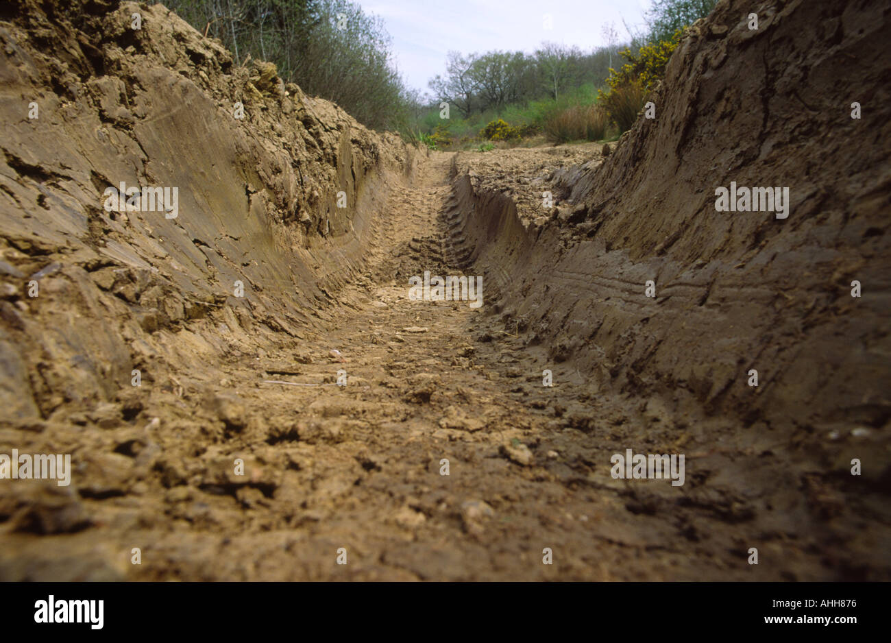 Environmental erosion made by vehicle tracks Stock Photo - Alamy