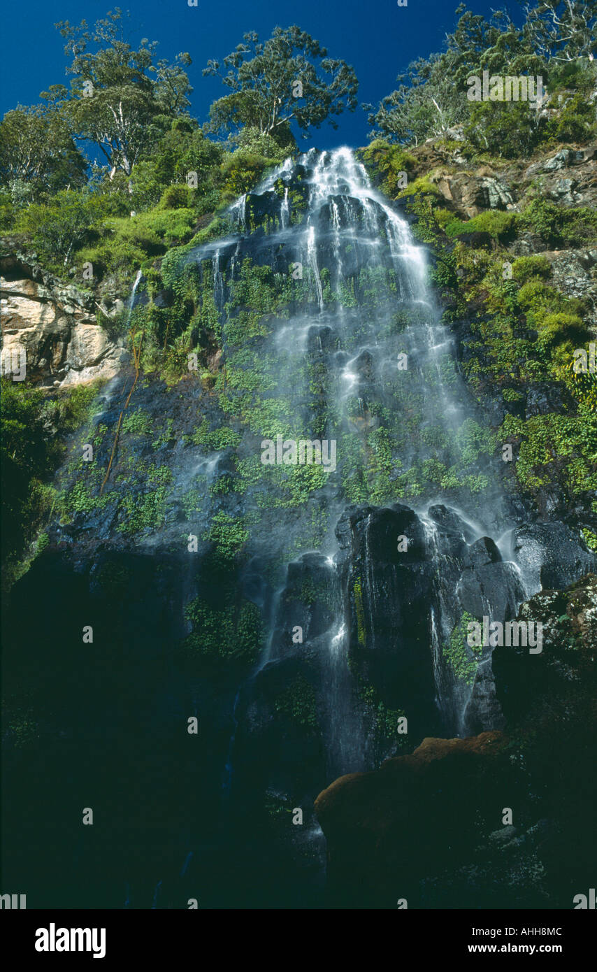 AUSTRALIA Queensland Lamington NP Stock Photo - Alamy