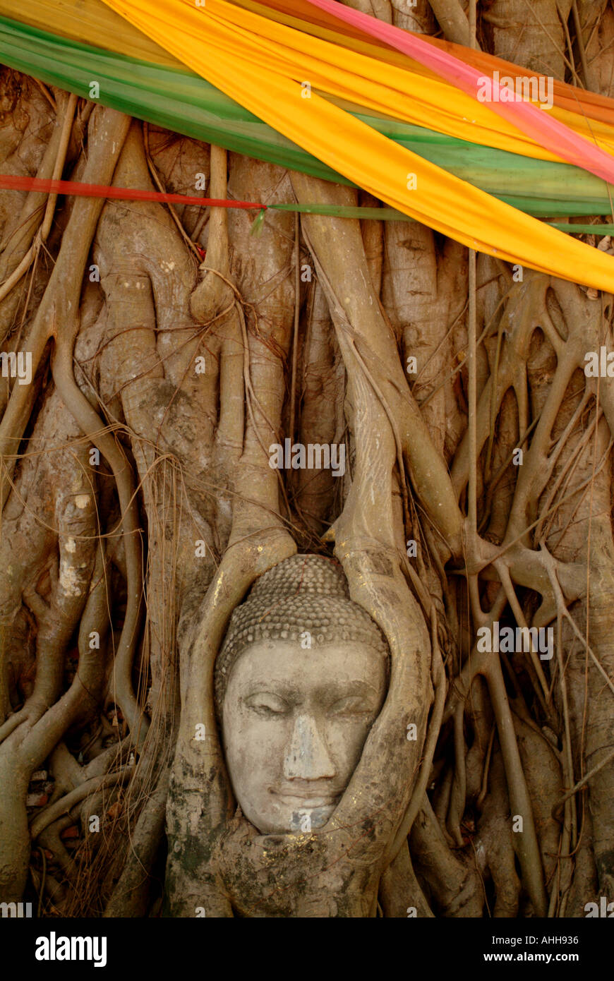 Offering at wat phra mahathat hi-res stock photography and images - Alamy