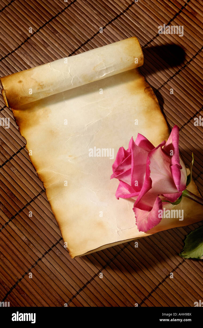 Pink rose on aged parchment paper Stock Photo - Alamy