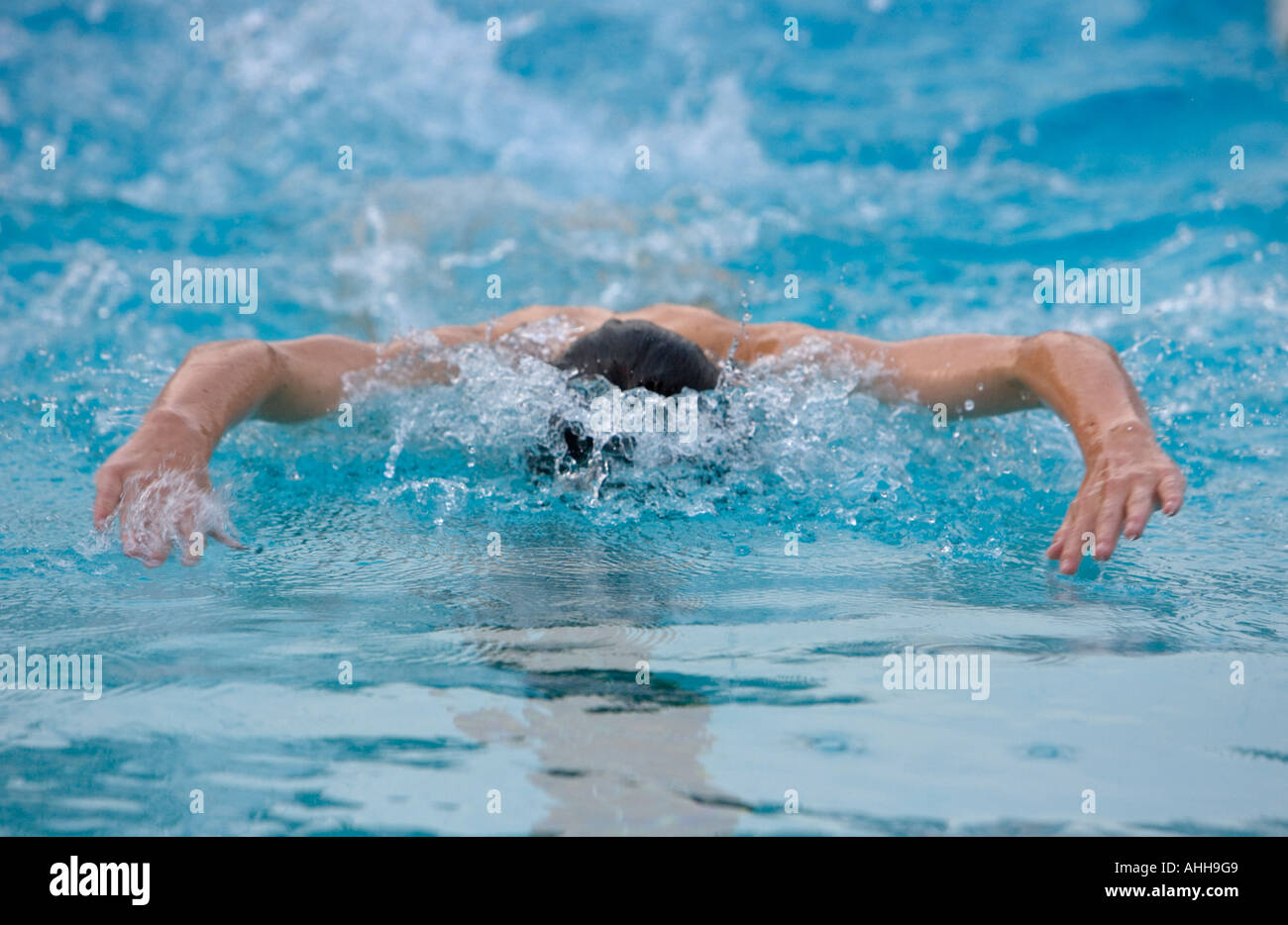 Butterfly stroke hi-res stock photography and images - Alamy