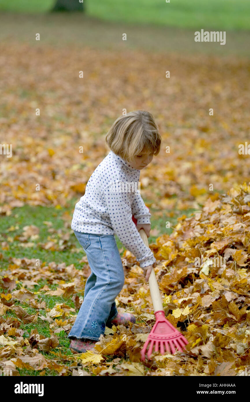 Girl 5 raking leaves with plastic rake Stock Photo - Alamy