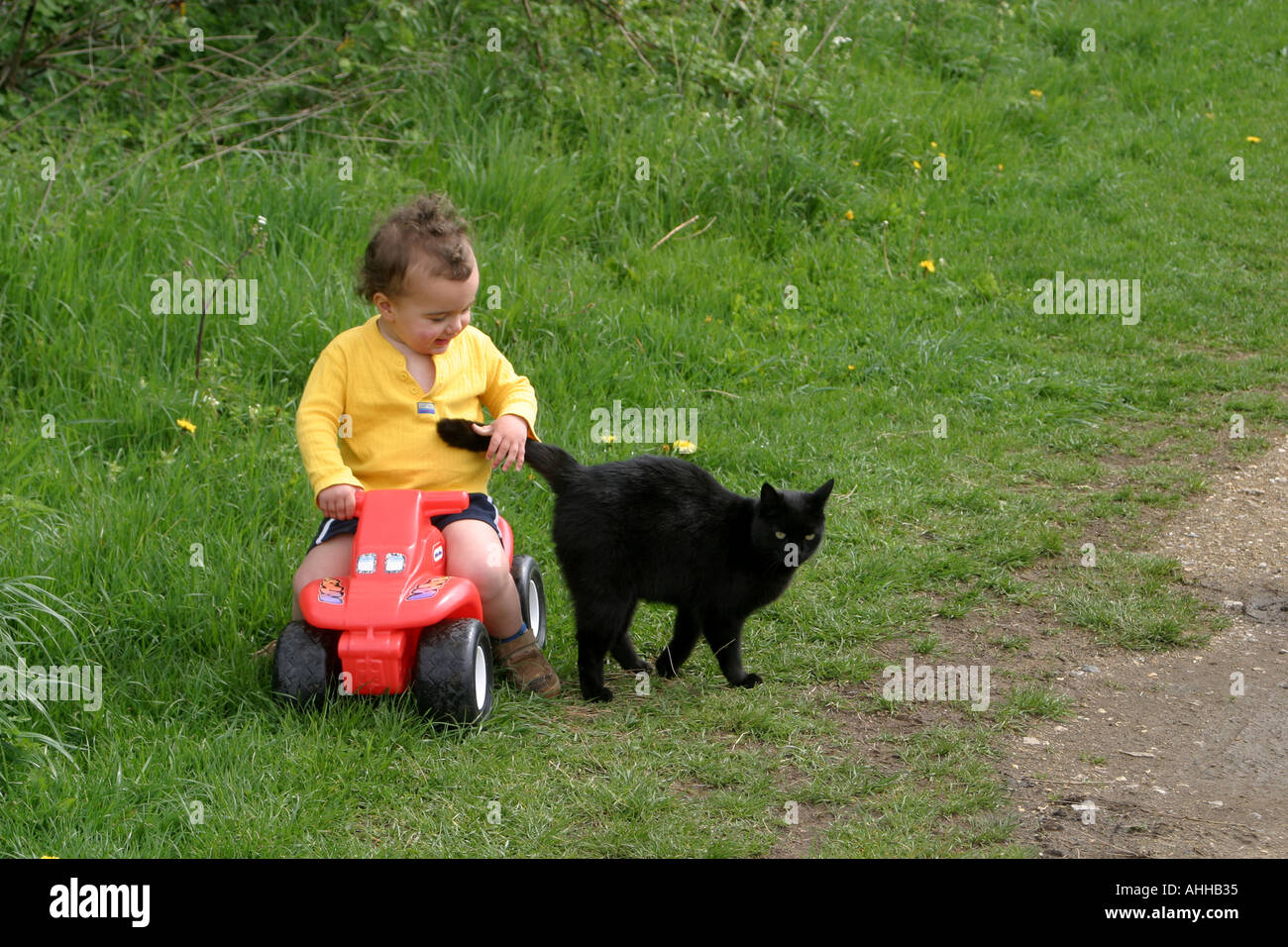 Hello cat hi-res stock photography and images - Alamy
