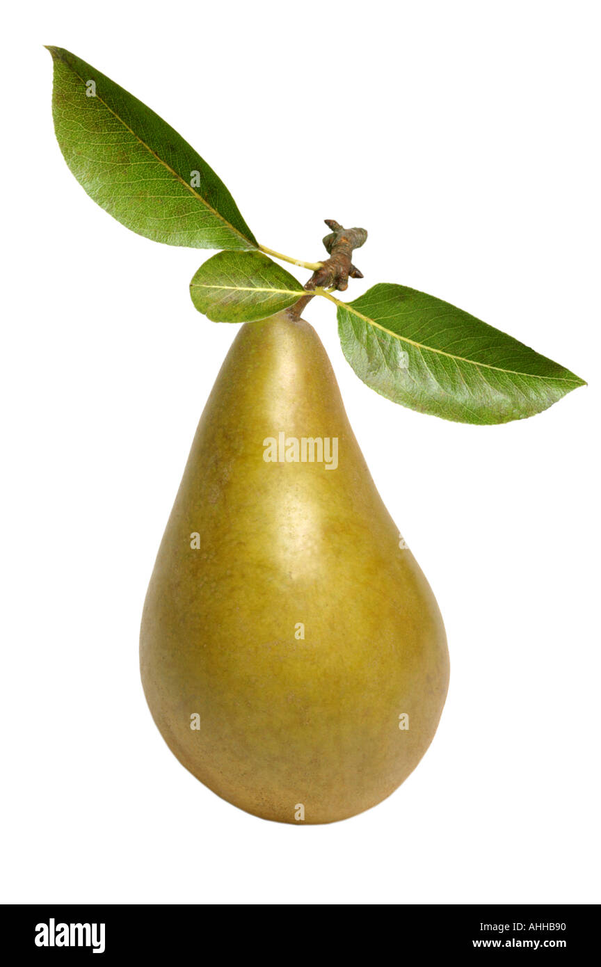 Conference pear cut out leaf hi-res stock photography and images - Alamy
