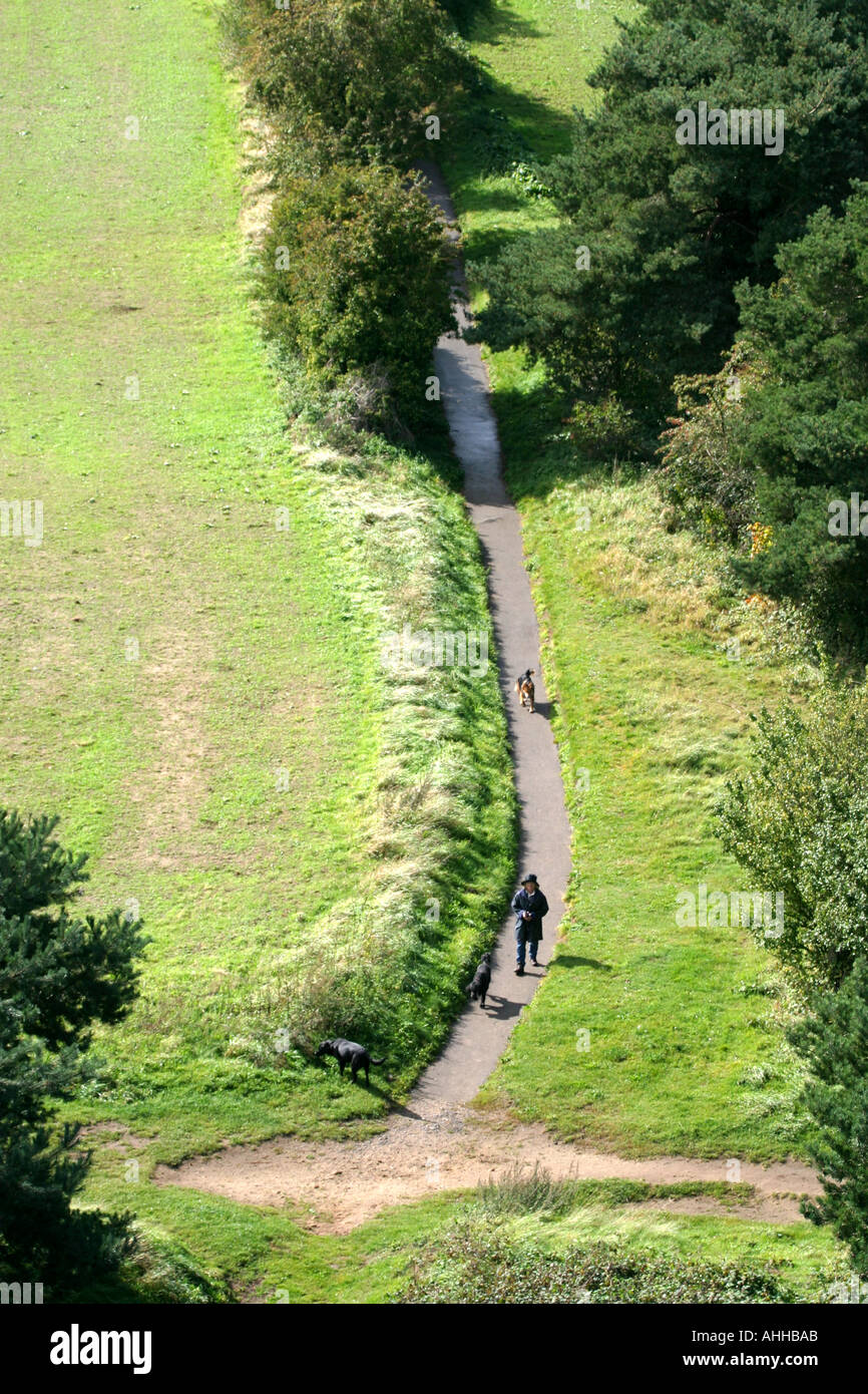 Lady walking dogs hi-res stock photography and images - Alamy
