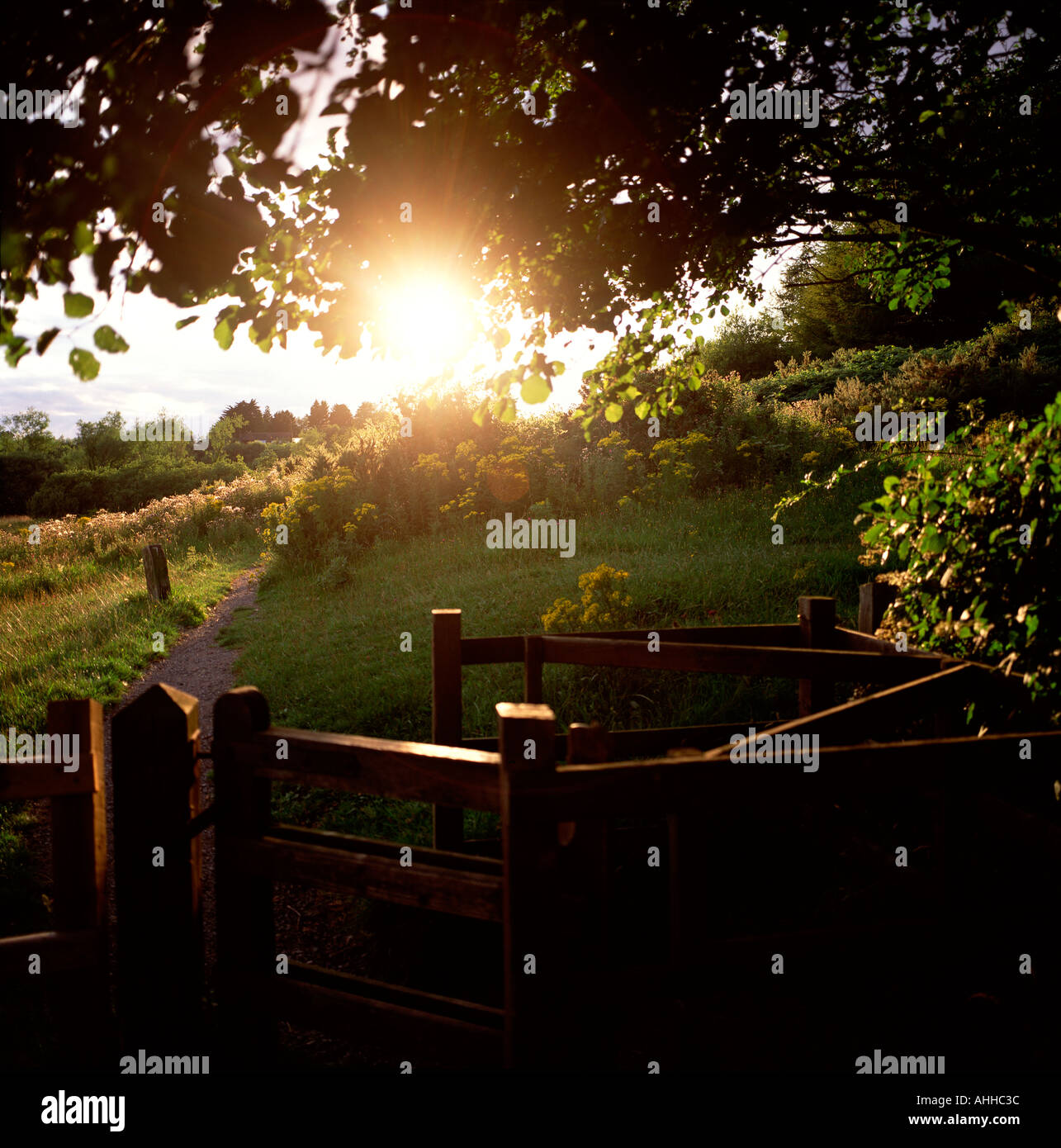 Lagan valley river hi-res stock photography and images - Alamy
