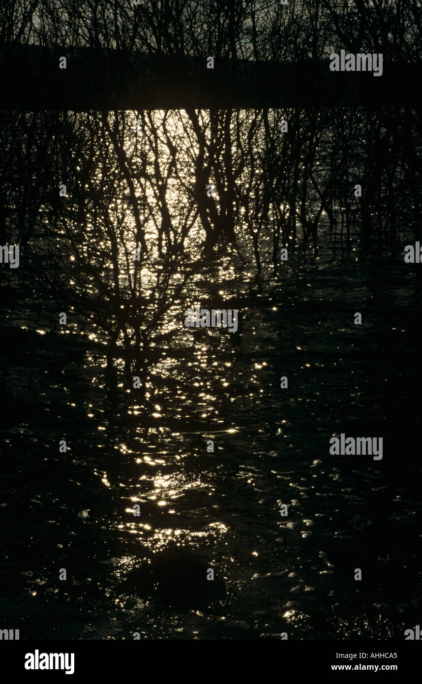 Derwent water County Durham England UK Stock Photo - Alamy