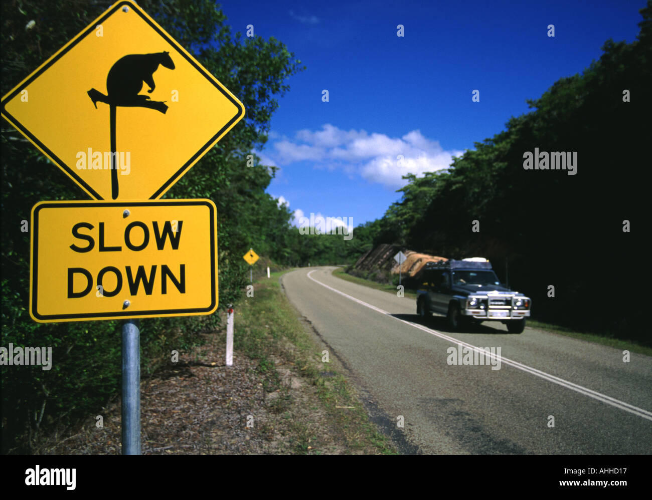Tree Kangaroo road sign Queensland Australia Stock Photo - Alamy