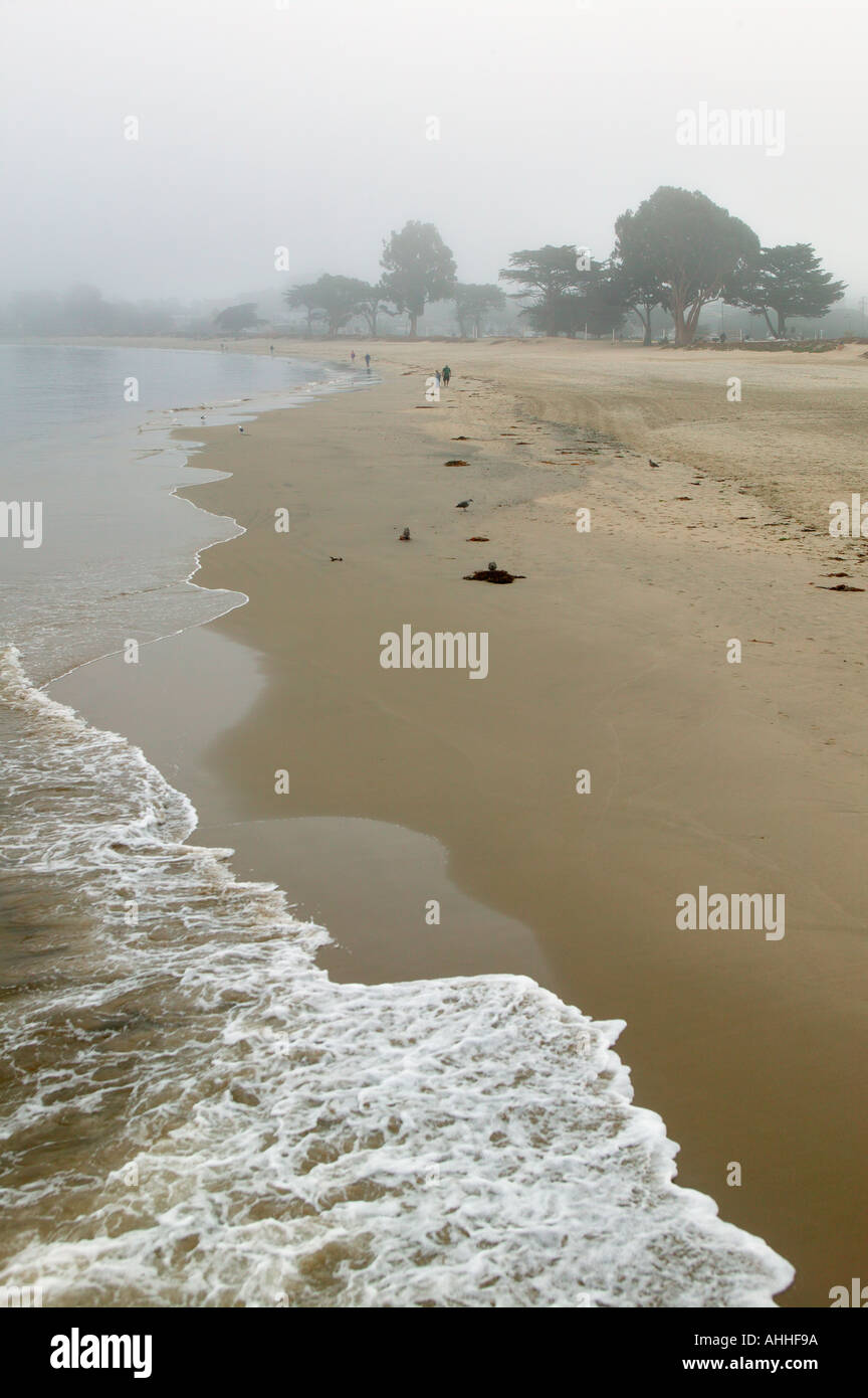 Monterey bay beaches hi-res stock photography and images - Alamy