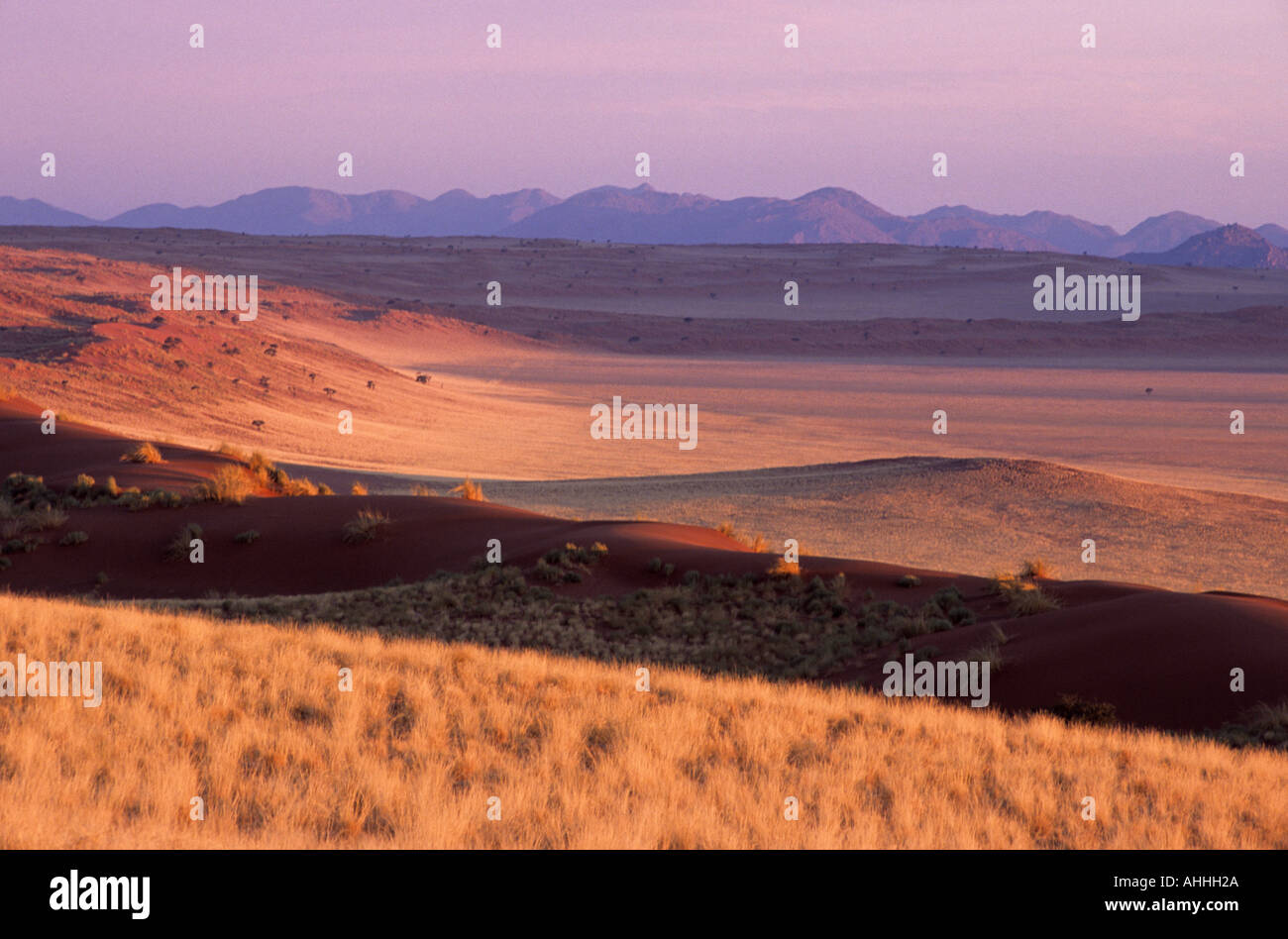 Namib Rand Nature Reserve with Nubib mountain range in background ...