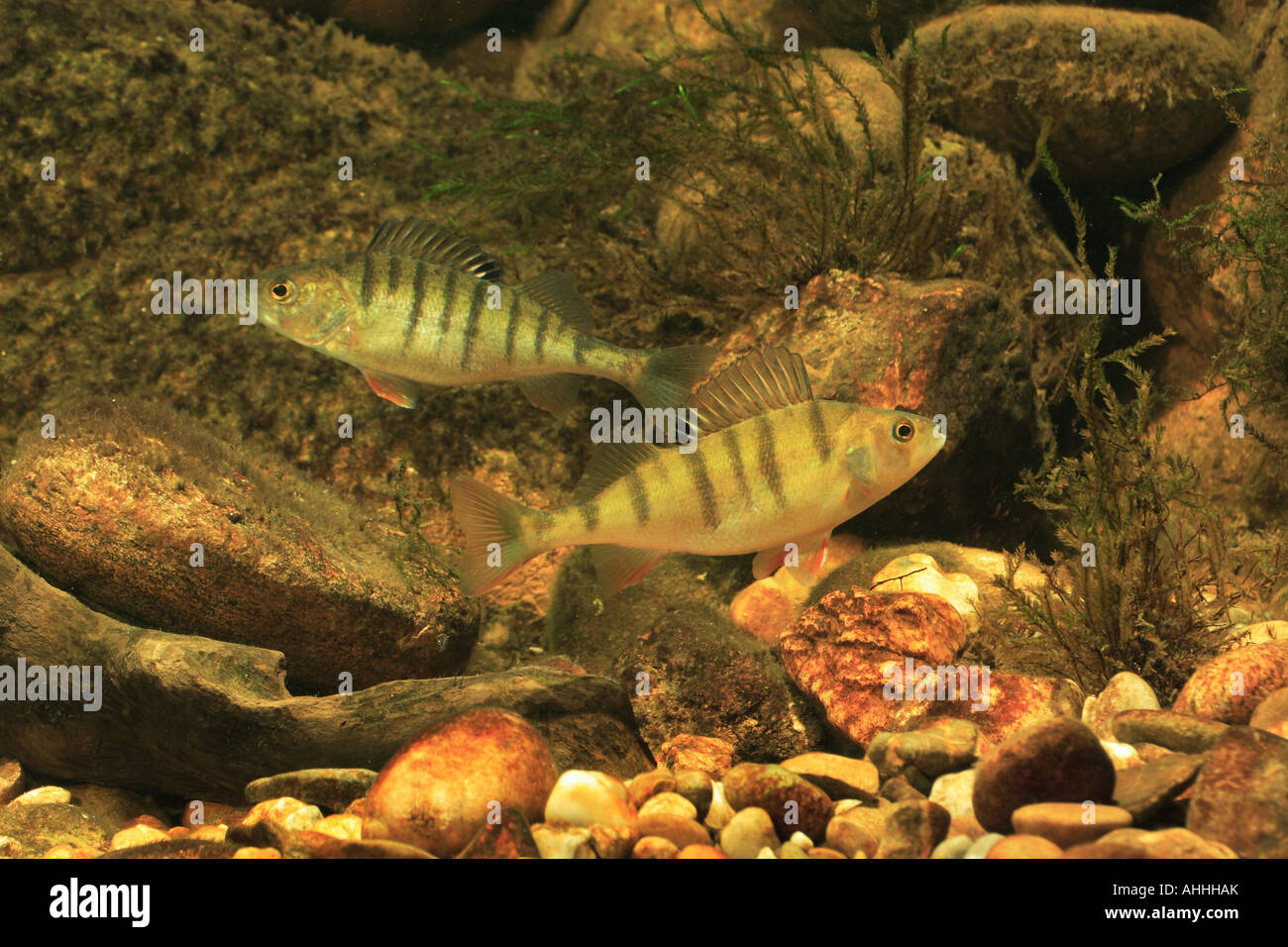 Nine horizontal stripes hi-res stock photography and images - Alamy