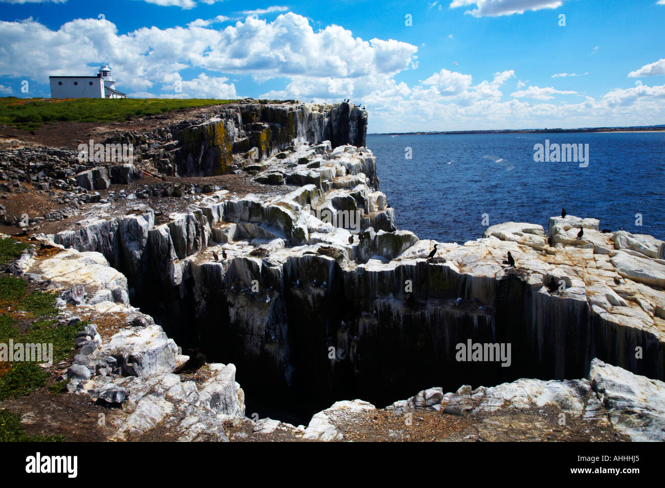 England Northumberland Farne Islands A lighthouse and cliff on the ...
