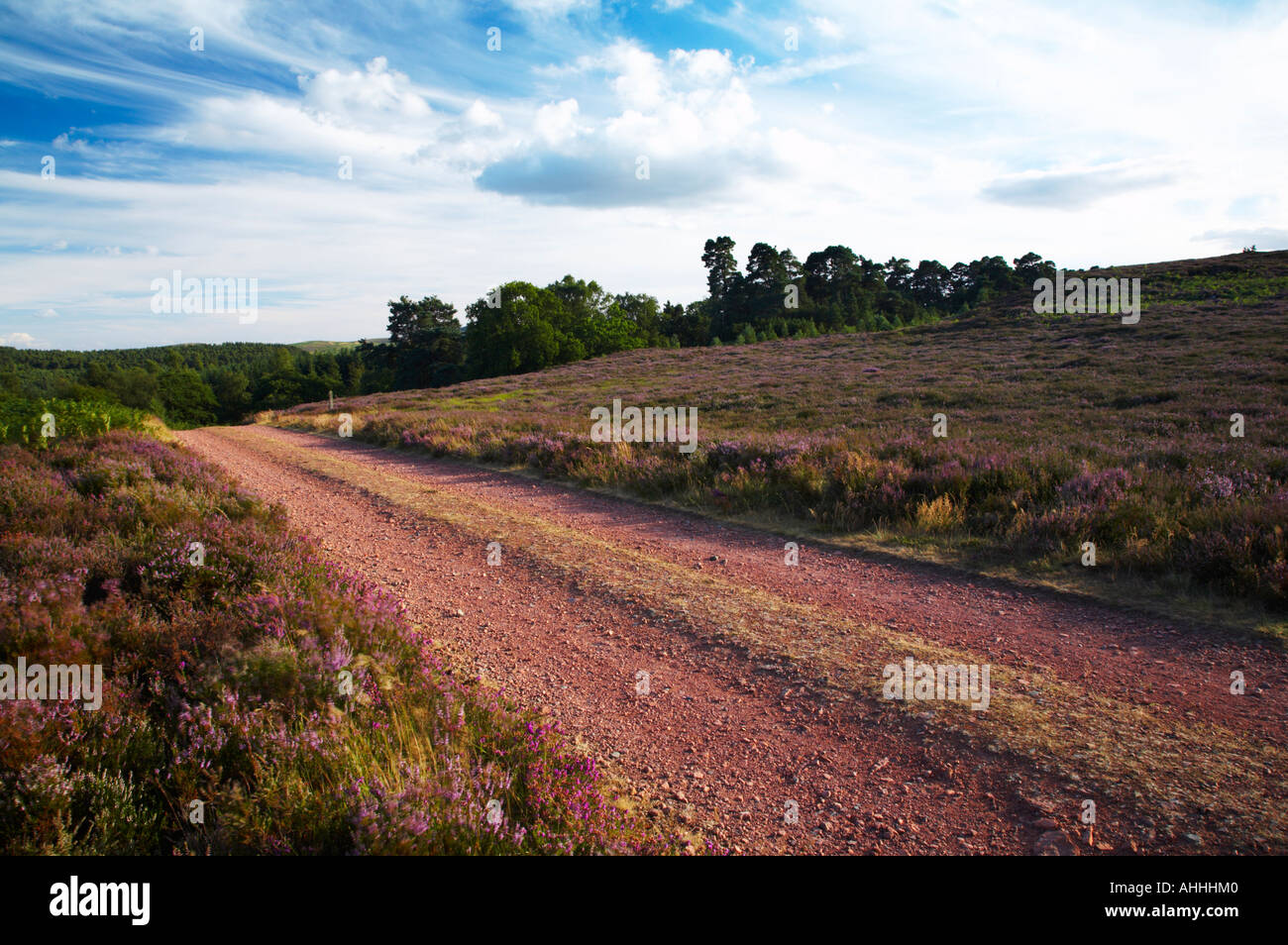 ENGLAND Northumberland Rothbury Track running through the open moorland ...