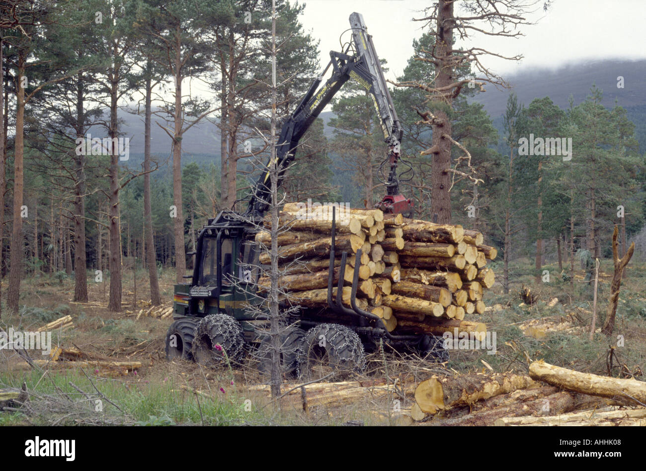 Forest harvesting operations hi-res stock photography and images - Alamy