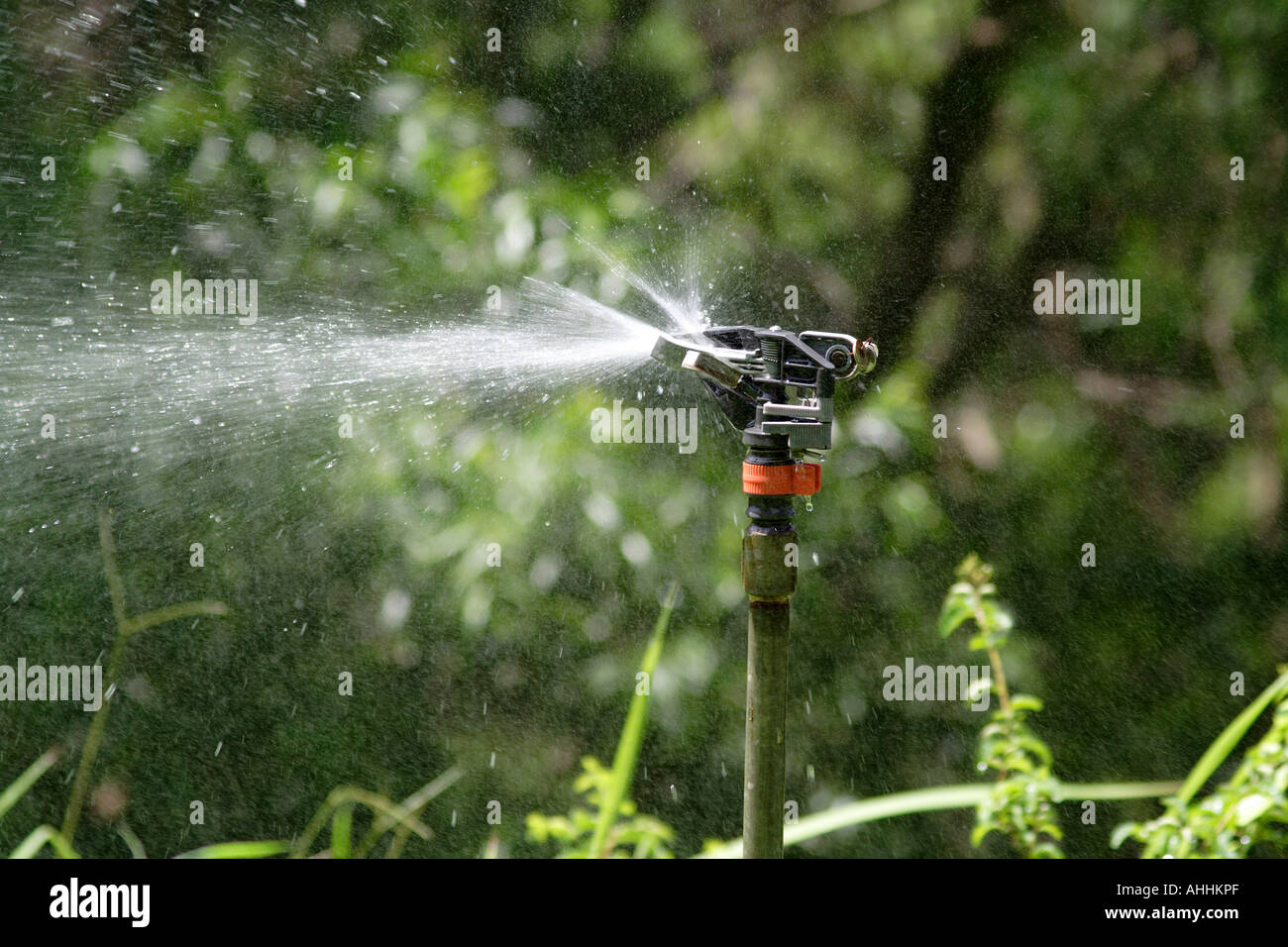 Sprinklerhead spraying water hi-res stock photography and images - Alamy