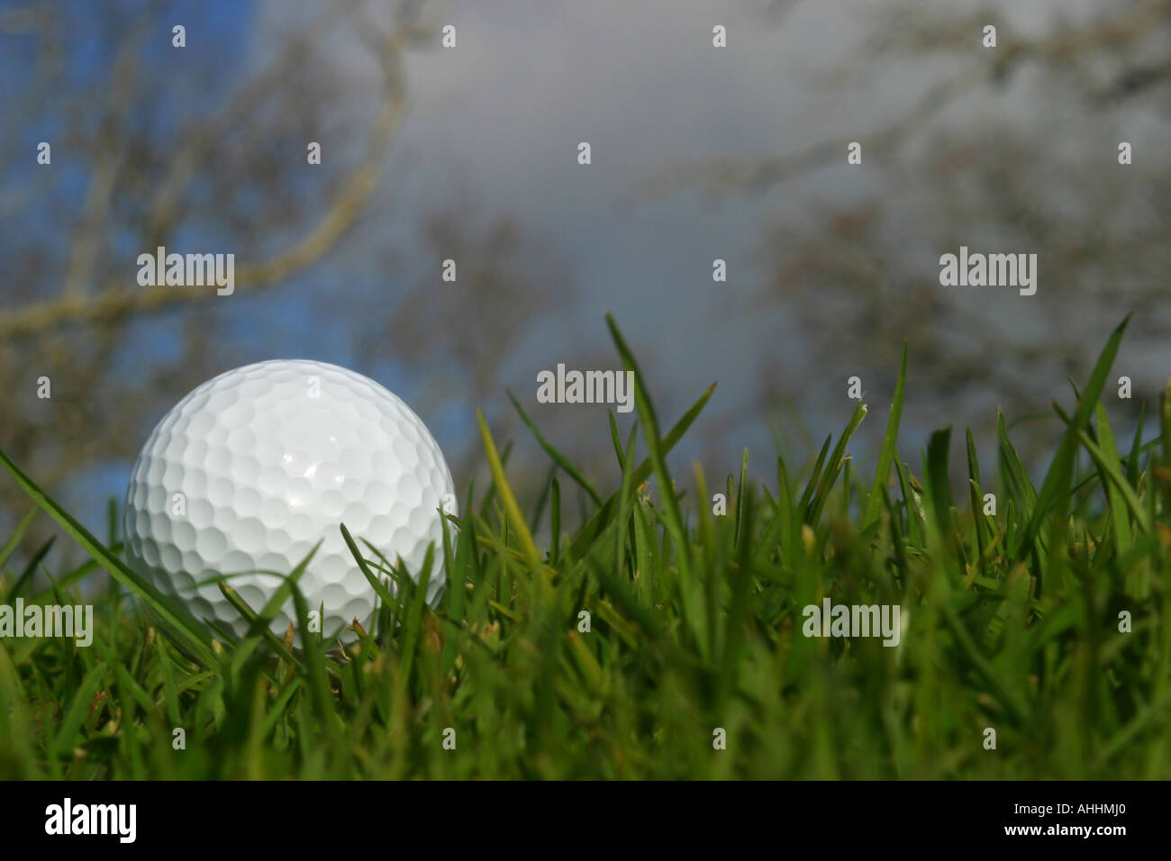 Golf ball in the rough Stock Photo - Alamy