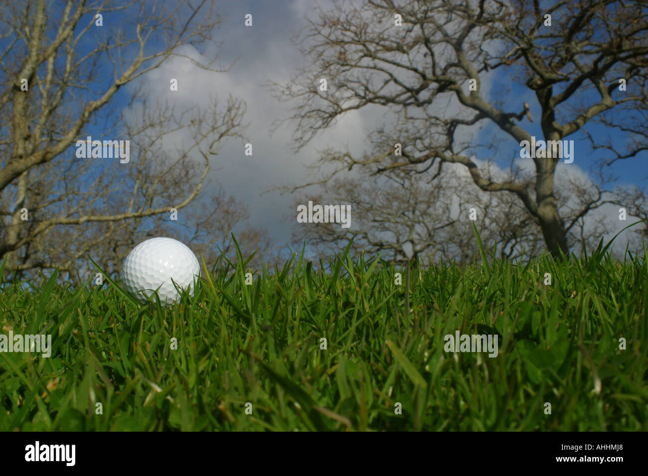 Golf ball in the rough Stock Photo - Alamy
