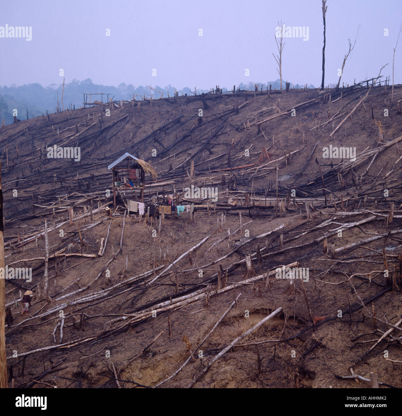 INDONESIA Southeast Asia Sumatra Deforestation. Family in hut at centre ...