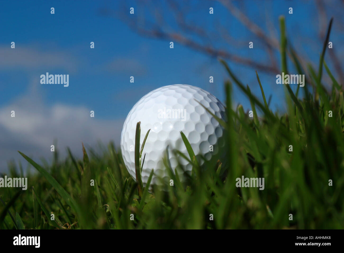Golf ball in the rough Stock Photo - Alamy