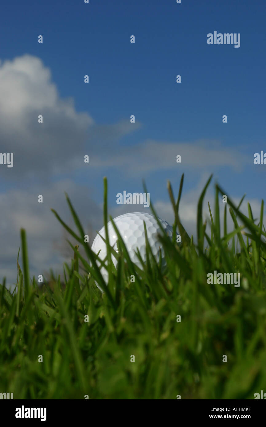 Golf ball in the rough Stock Photo - Alamy