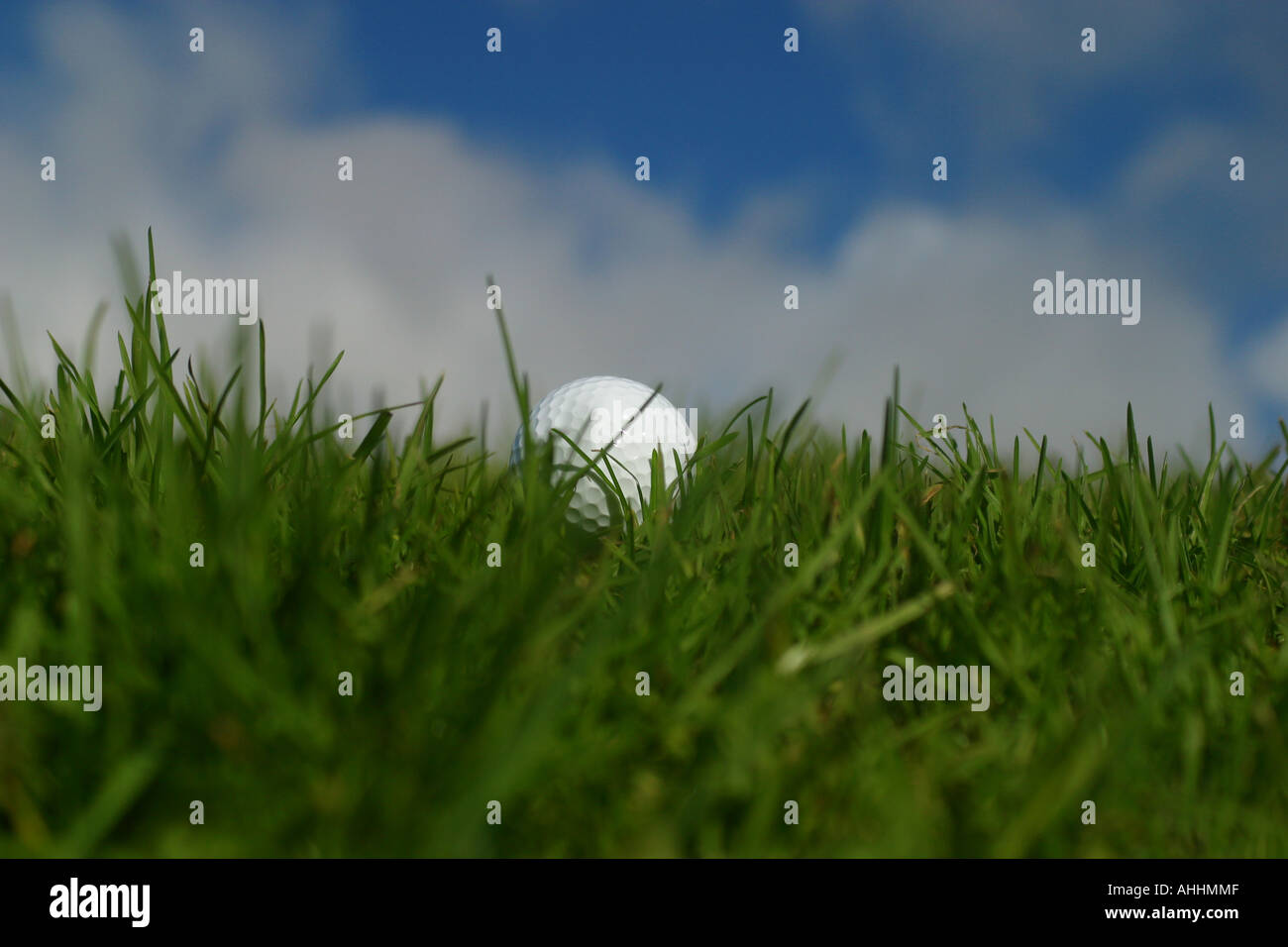 Golf ball in the rough Stock Photo - Alamy