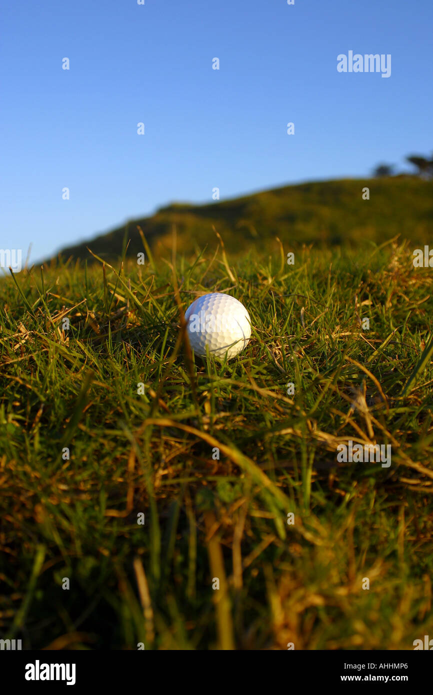 Golf ball in the rough Stock Photo - Alamy