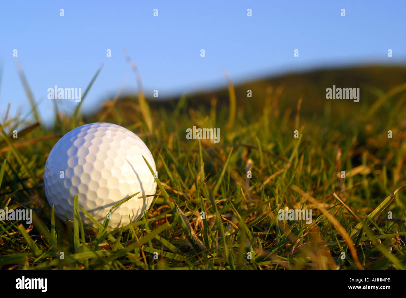 Golf ball in the rough Stock Photo - Alamy