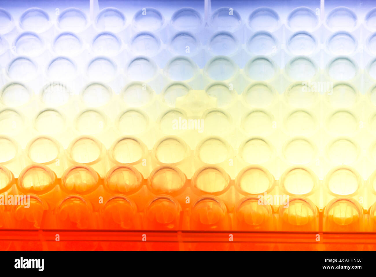 Plate underneath hi-res stock photography and images - Alamy