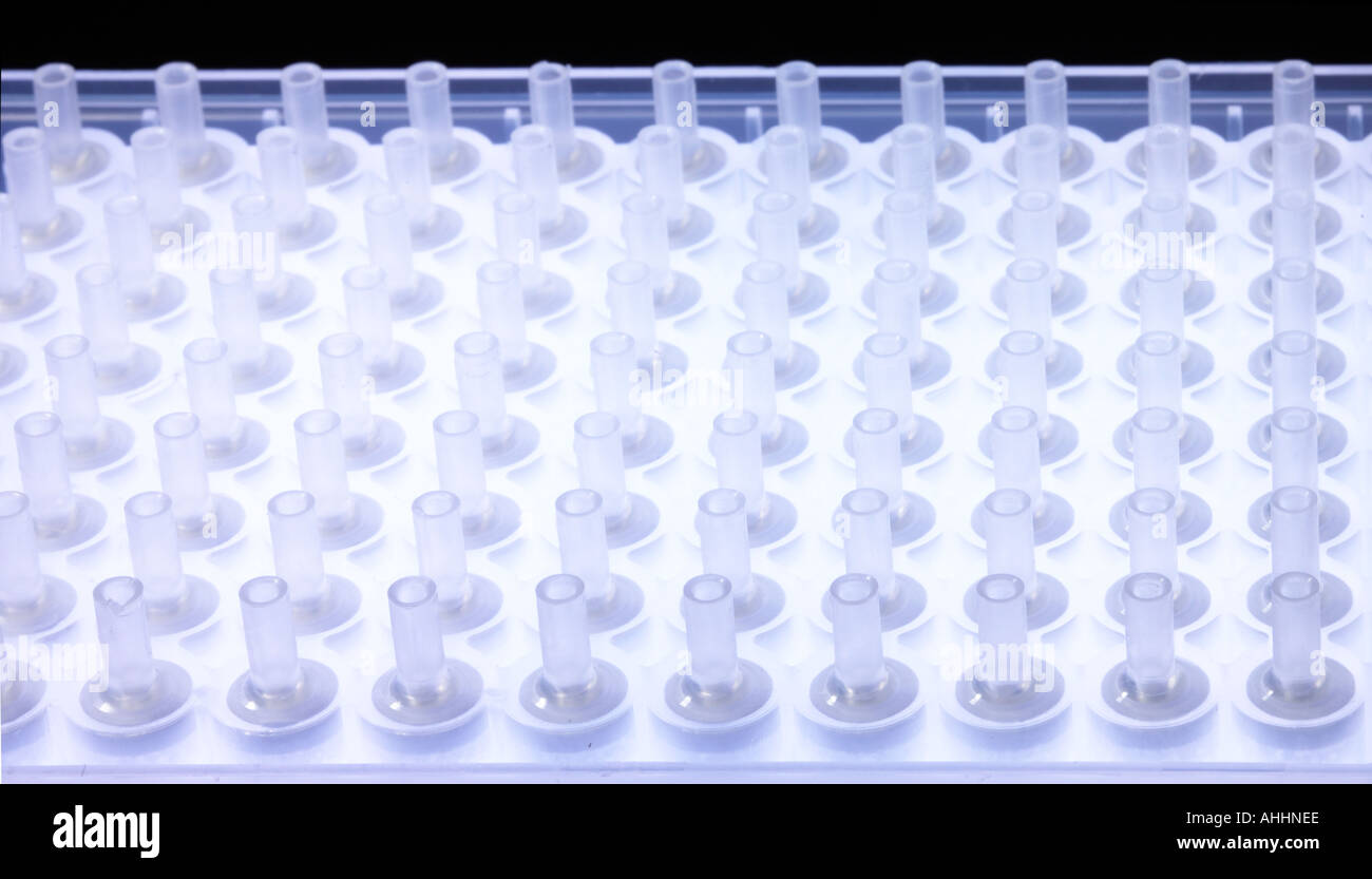 Separation plate for laboratories Stock Photo - Alamy