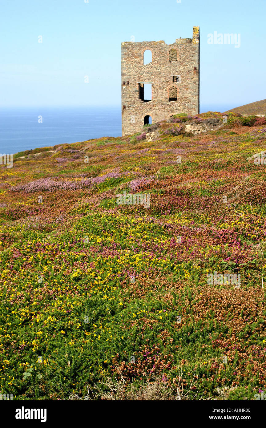 Stamps and wheel engine house ruins Wheal Coates mine on cliffs near ...