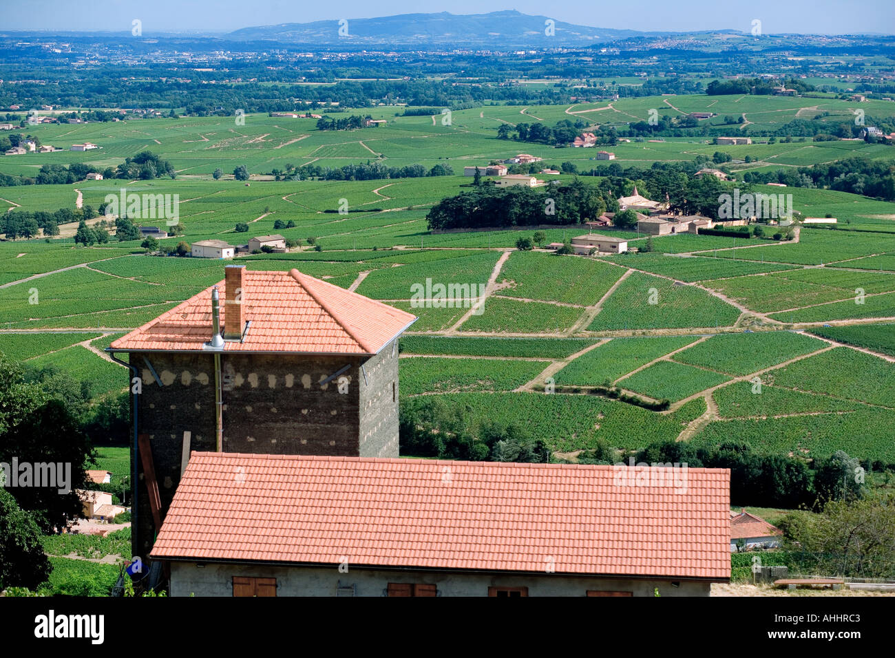 Cote De Brouilly High Resolution Stock Photography and Images - Alamy