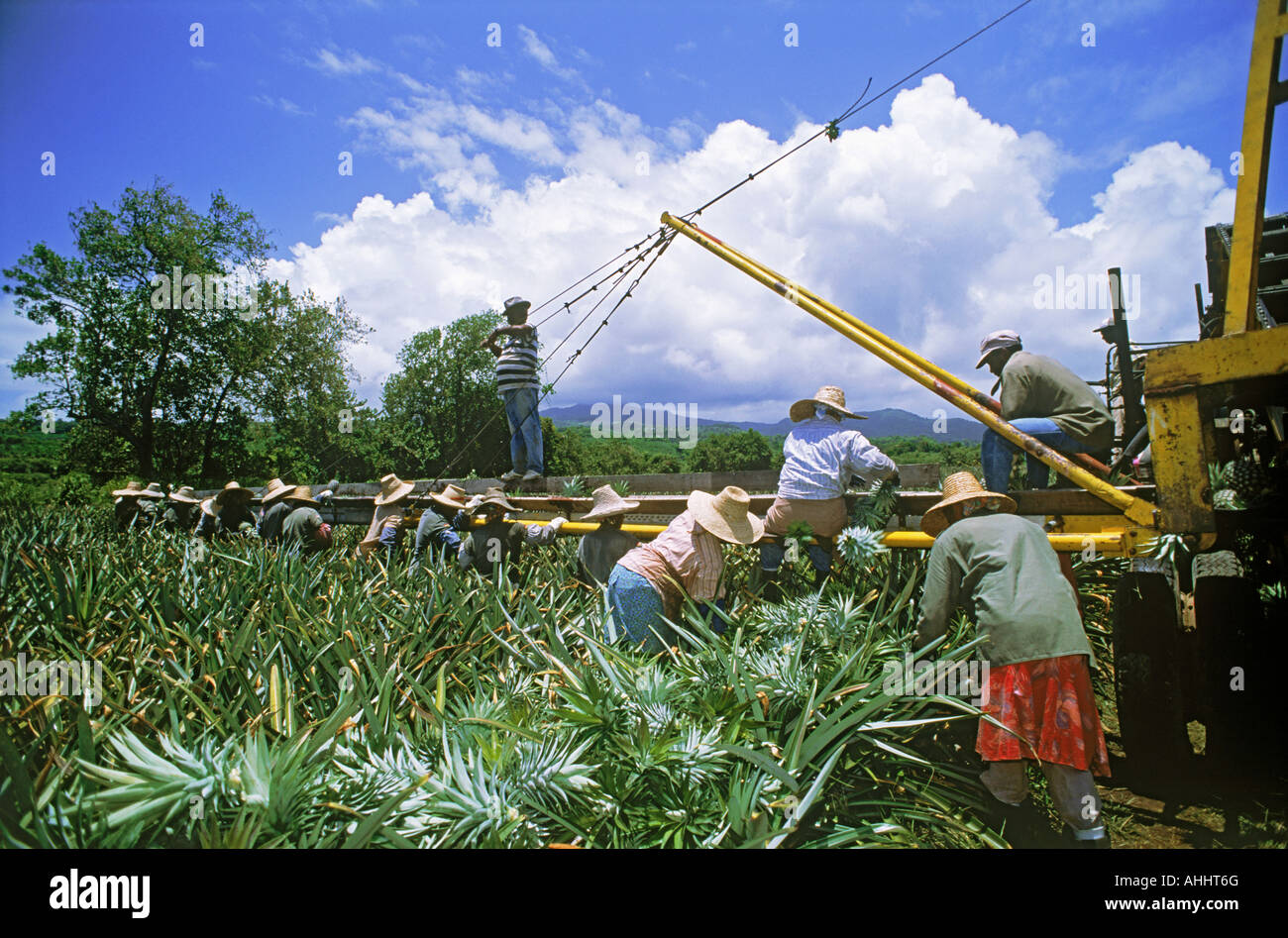 Field workers hi-res stock photography and images - Alamy