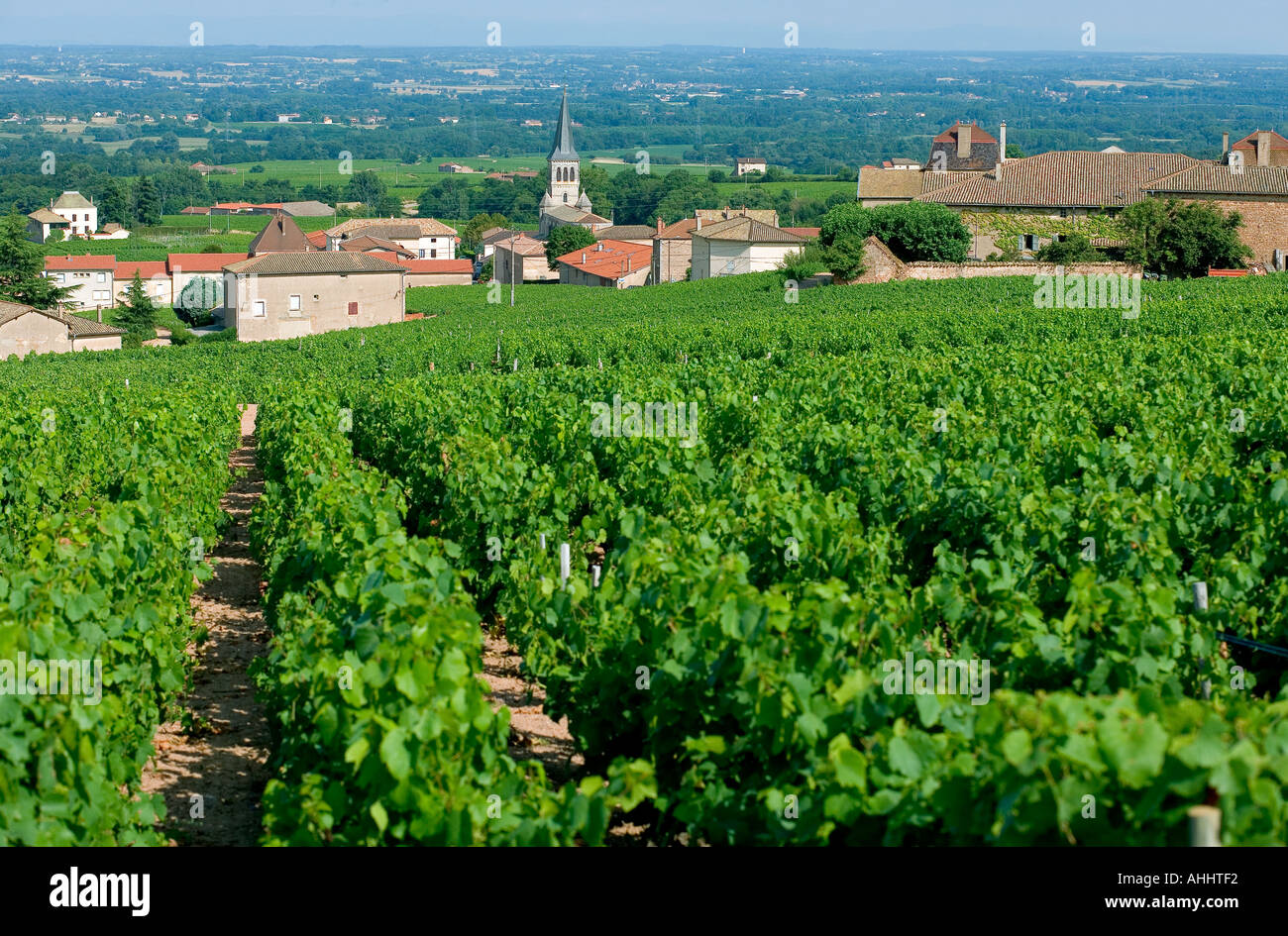 Fleurie france wine hi-res stock photography and images - Alamy