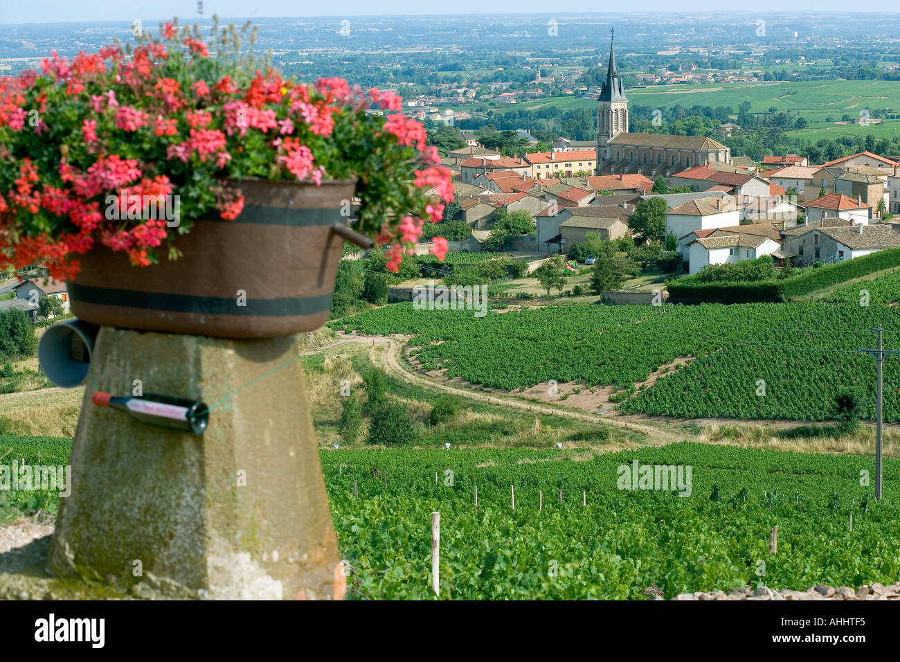Village overview from vineyards hi-res stock photography and images - Alamy