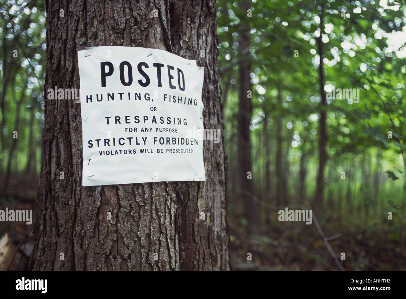 No Hunting Signs On Trees