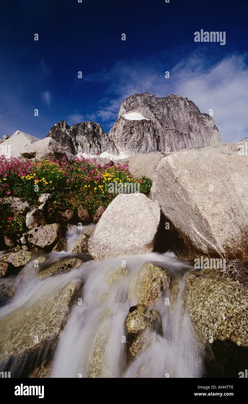 Bugaboo provincial park hi-res stock photography and images - Alamy