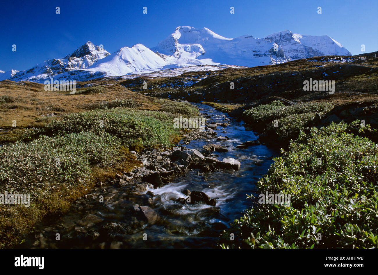 Wilcox pass hi-res stock photography and images - Alamy