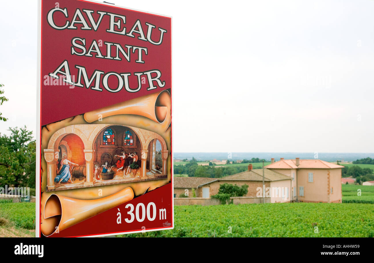 Winery road sign and vineyards "Saint-Amour" Beaujolais wine country ...
