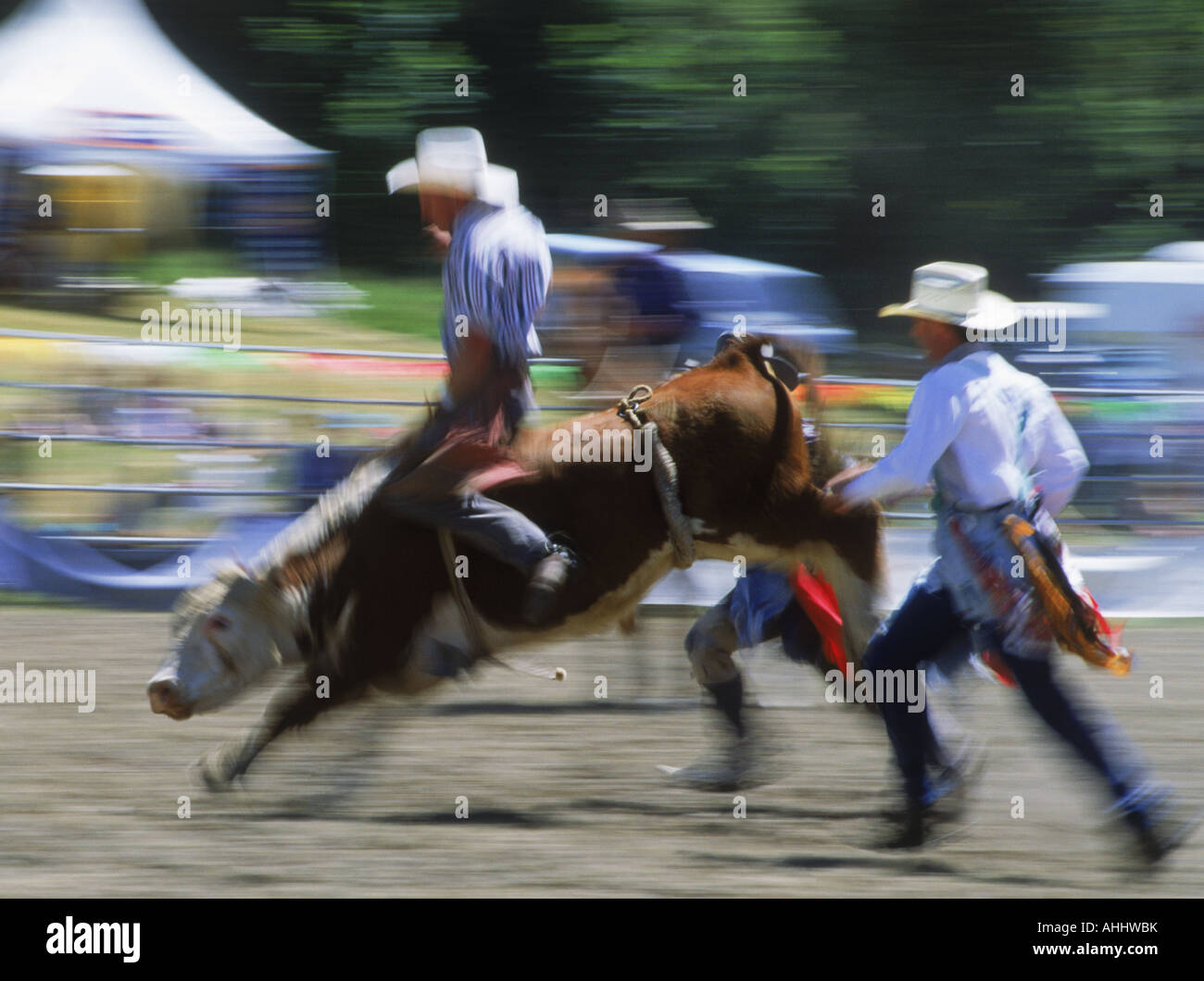 Man riding bucking bronco hi-res stock photography and images - Alamy