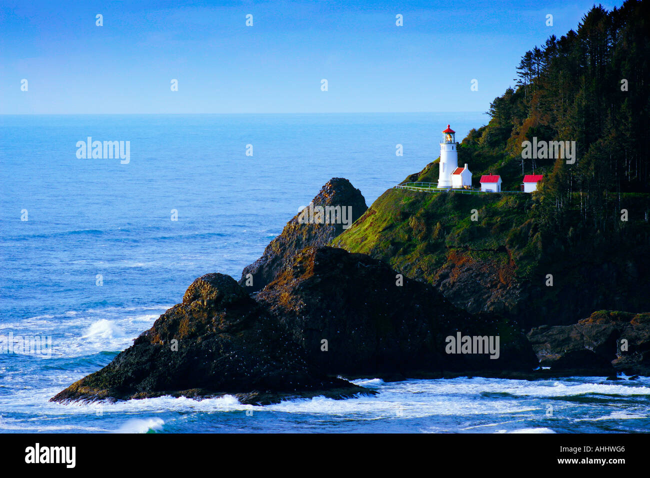 Heceta head lighthouse with trees hi-res stock photography and images ...
