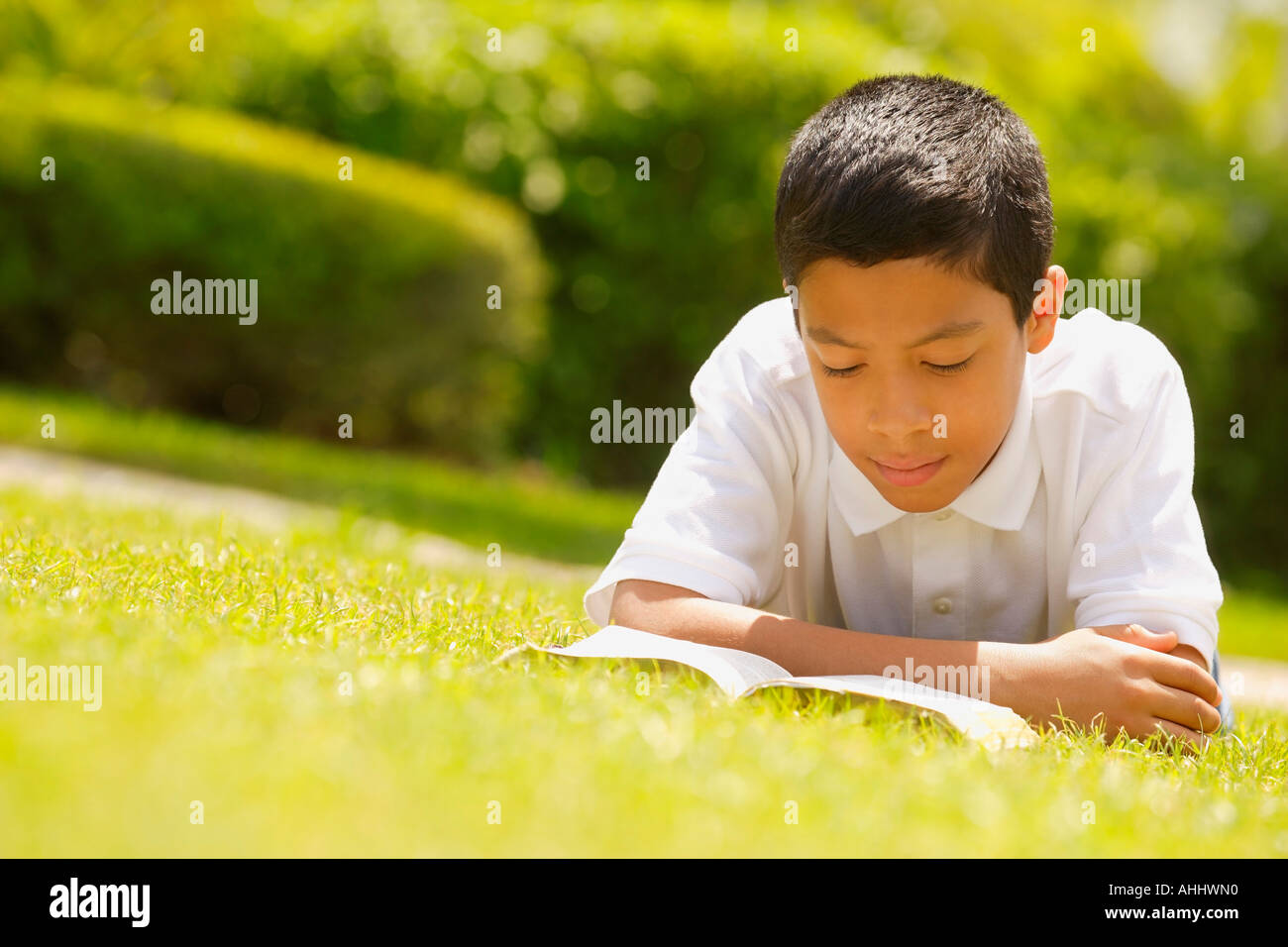 Boy reading a book Stock Photo - Alamy