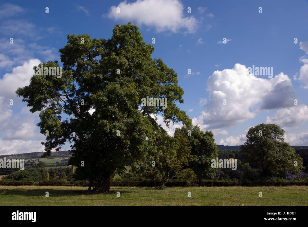 english country scene Stock Photo - Alamy