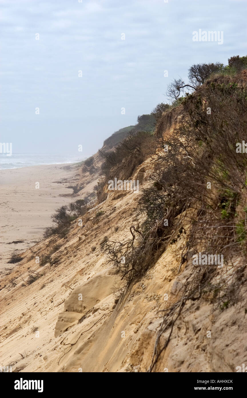 Cape Cod Seashore Stock Photo - Alamy
