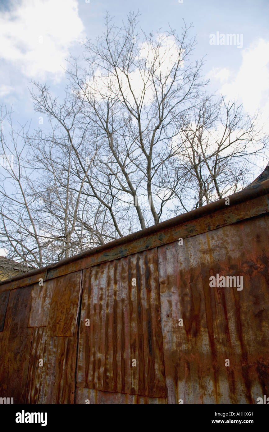 Rusty wall and tree Stock Photo - Alamy