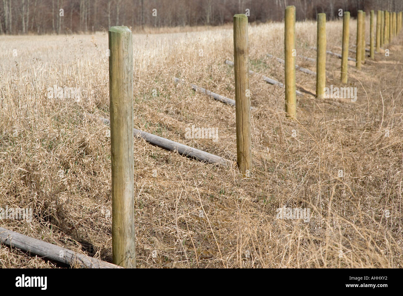 Rural fence posts Stock Photo - Alamy