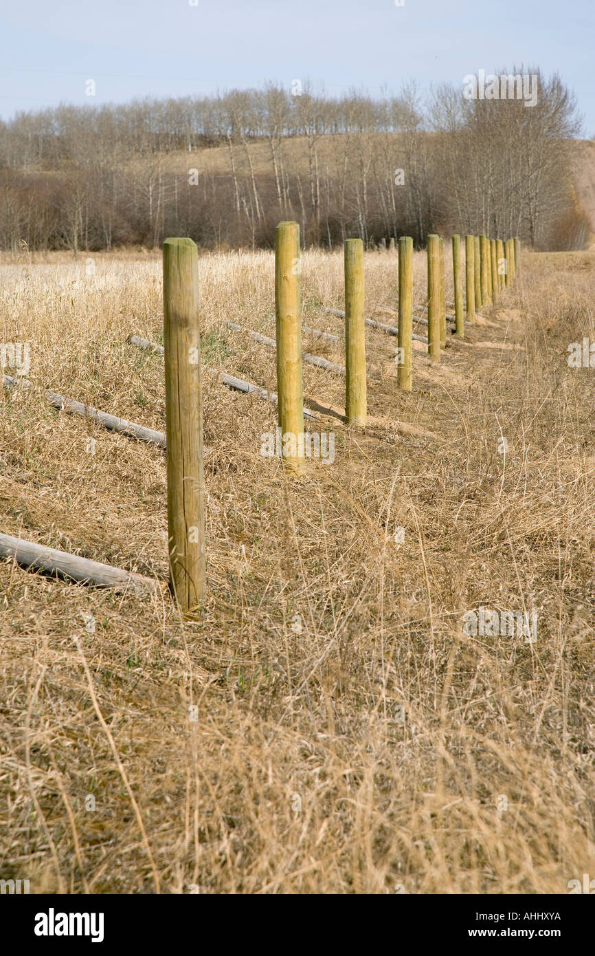 Rural Fence Posts Stock Photo - Alamy