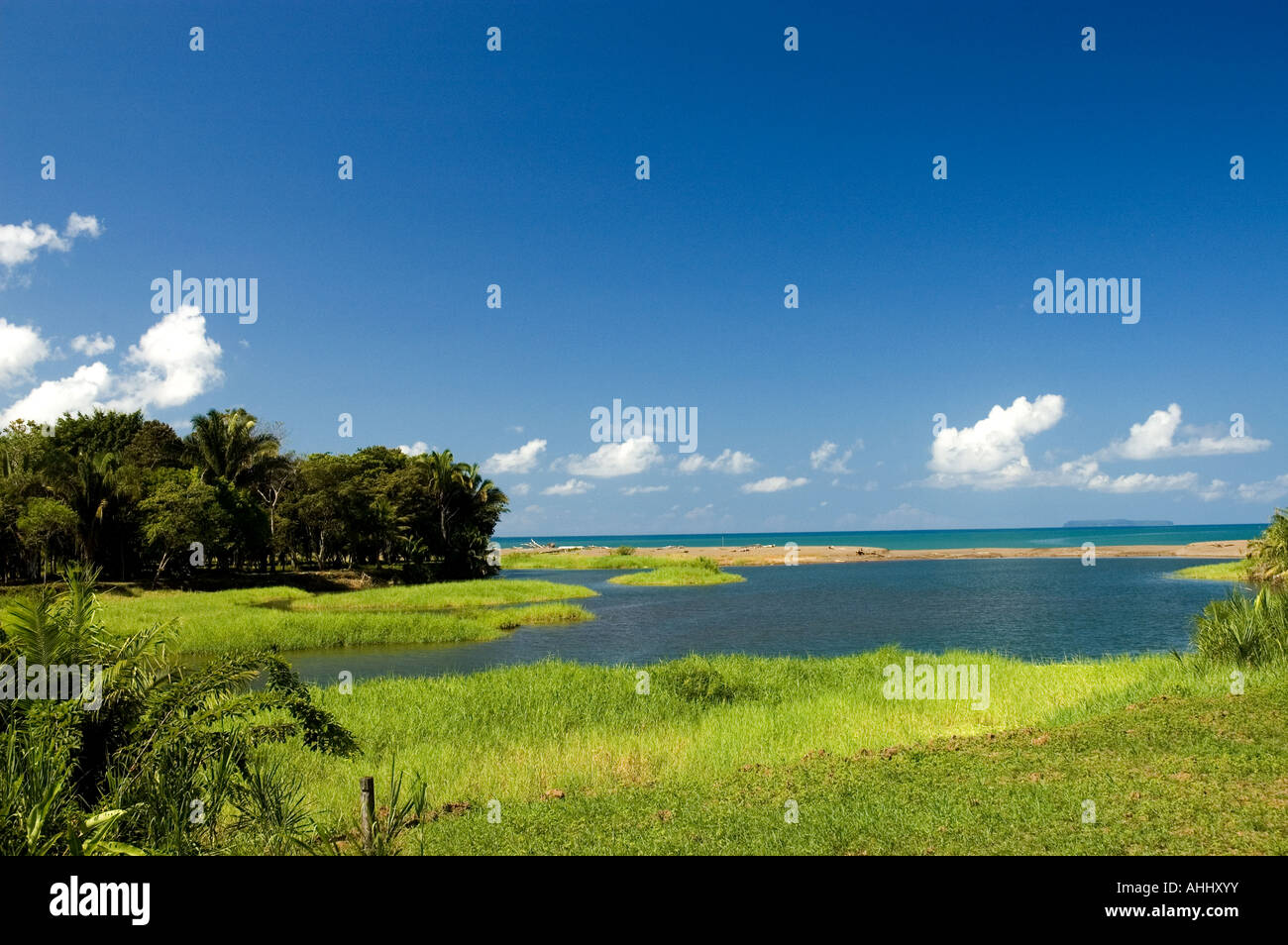Wetland at Drake, Osa Peninsula, Costa Rica Stock Photo - Alamy