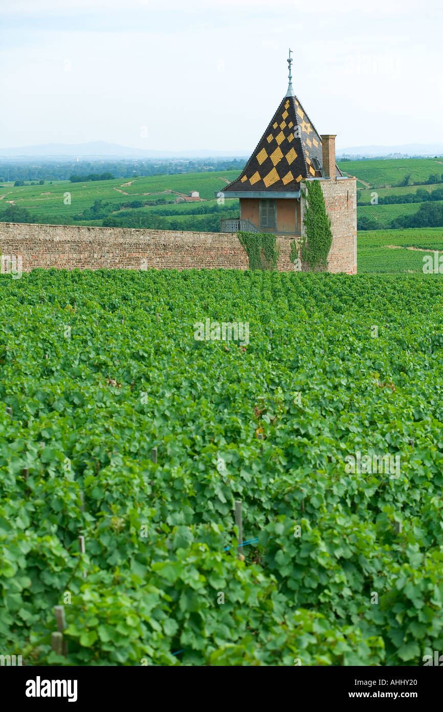 Polychromatic tiles hi-res stock photography and images - Alamy