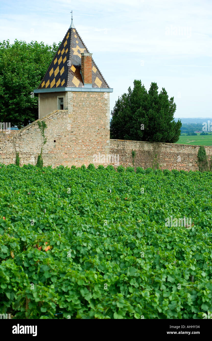 Polychromatic glazed tiles hi-res stock photography and images - Alamy
