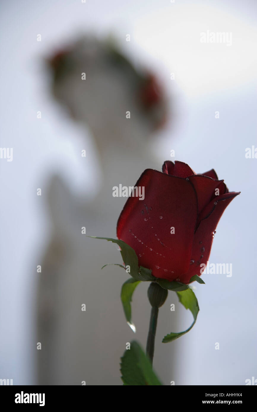 Red3223 hi-res stock photography and images - Alamy